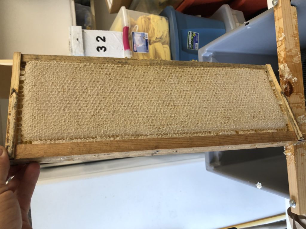 CAPPings – Jul/Aug 2021 – Clemson Apiculture and Pollinator Program