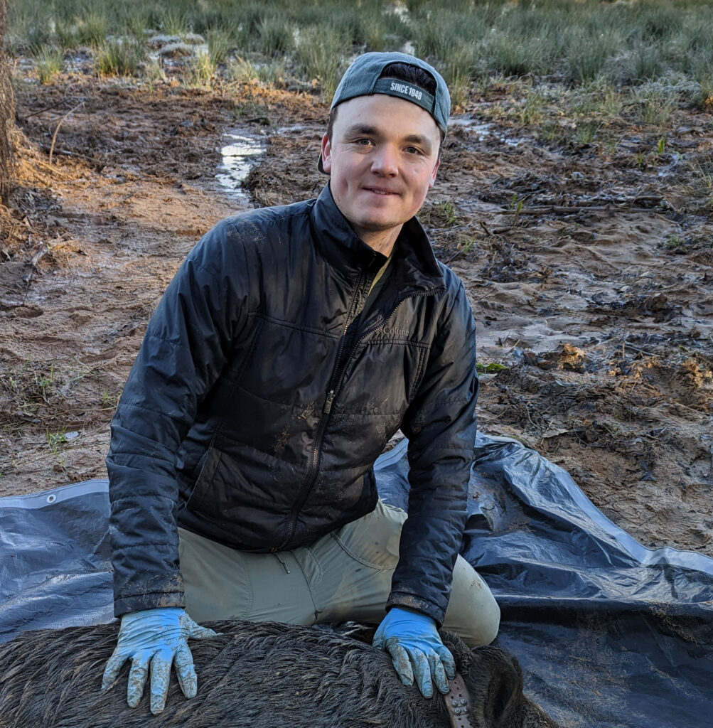 S-1, E-5: “Ecological zombies” are going hog wild on the southern ...