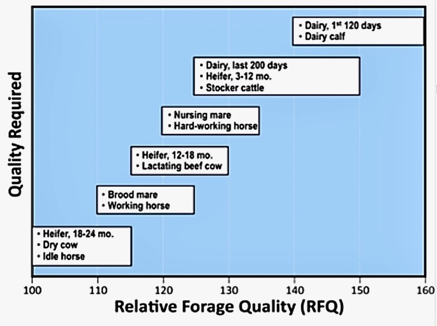 Proper Hay Sampling Techniques – Clemson Cooperative Extension