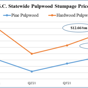 Clemson Extension Forestry & Wildlife | Timber Market