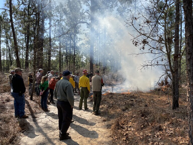 What are Prescribed Fire Associations, and Why Should You Join One ...