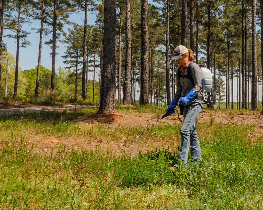 Forestry Herbicide Series- Herbicide Basics – Clemson Extension ...