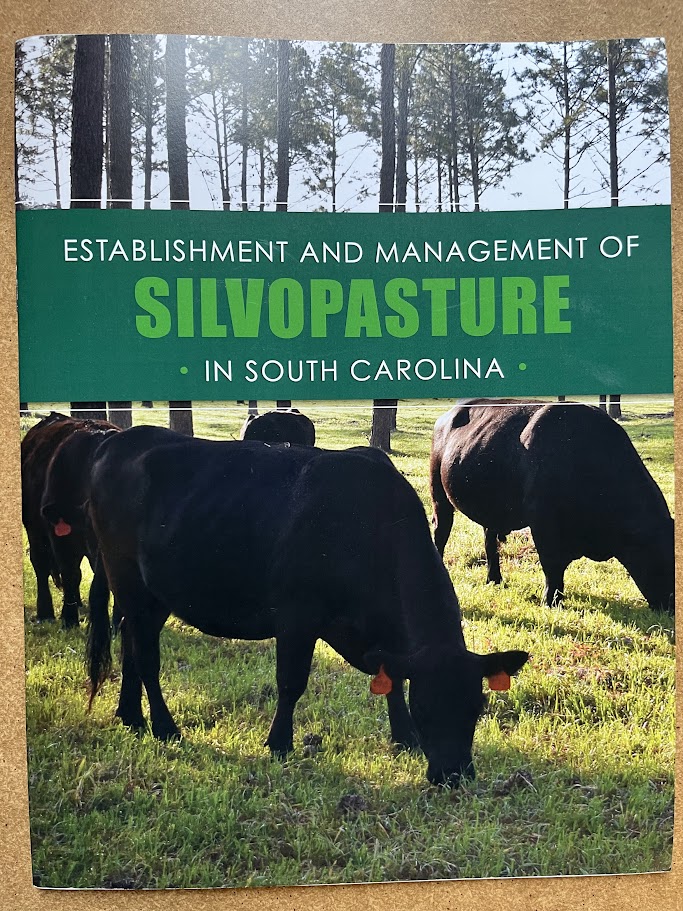 Silvopasture: The Four “I” System – Clemson Extension Forestry and Wildlife