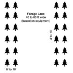 Silvopasture: The Four “I” System – Clemson Extension Forestry and Wildlife