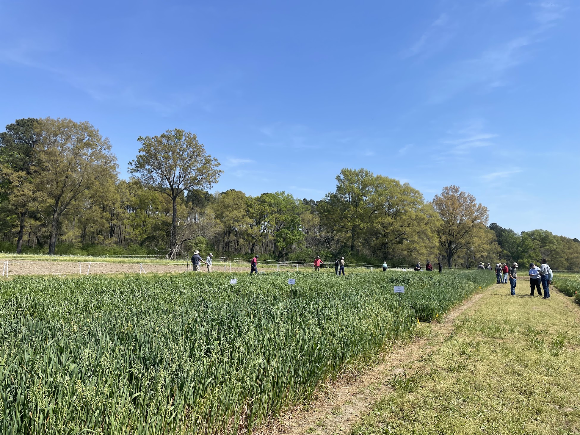 2024 Edisto REC Forages Field Day – Clemson Forages Team