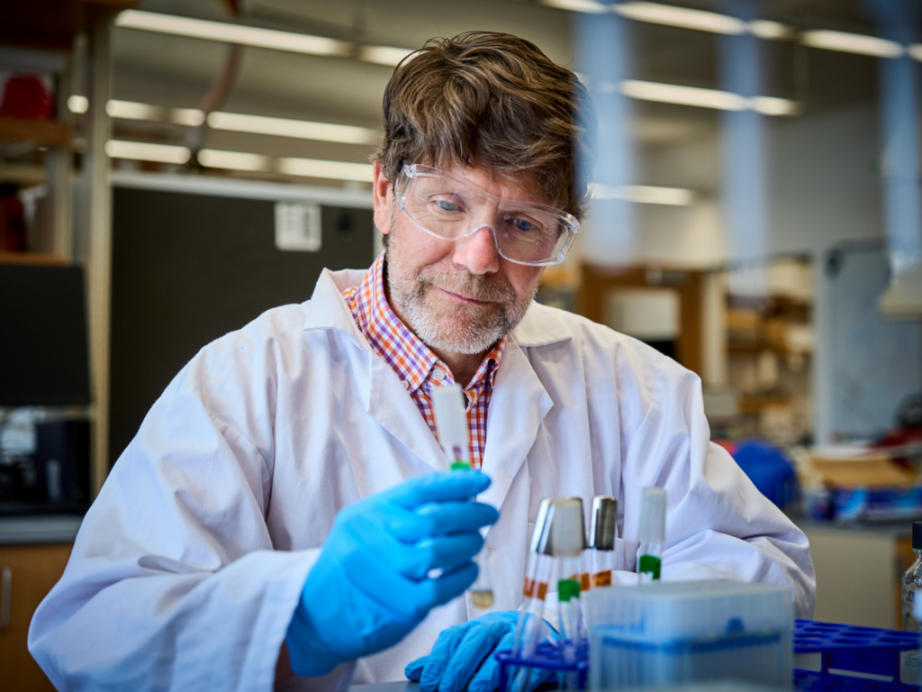 Professor Jim Morris researches ways to fight brain-eating amoebas ...