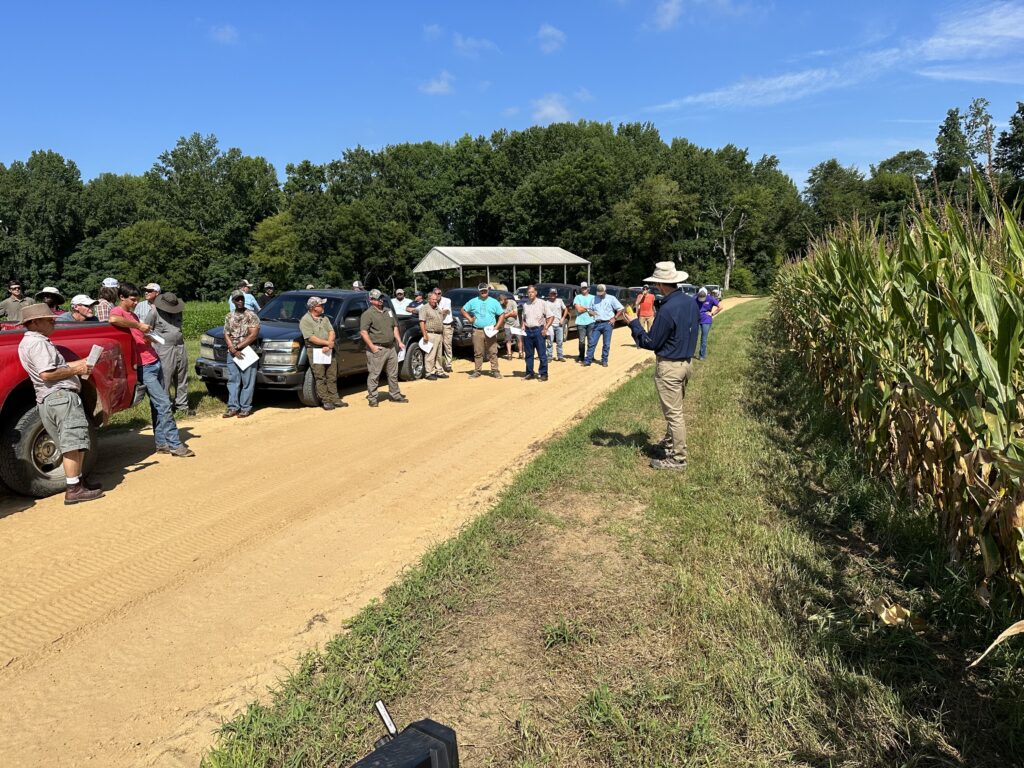 Edisto REC Hosts Field Corn Field Day – Integrated Pest Management
