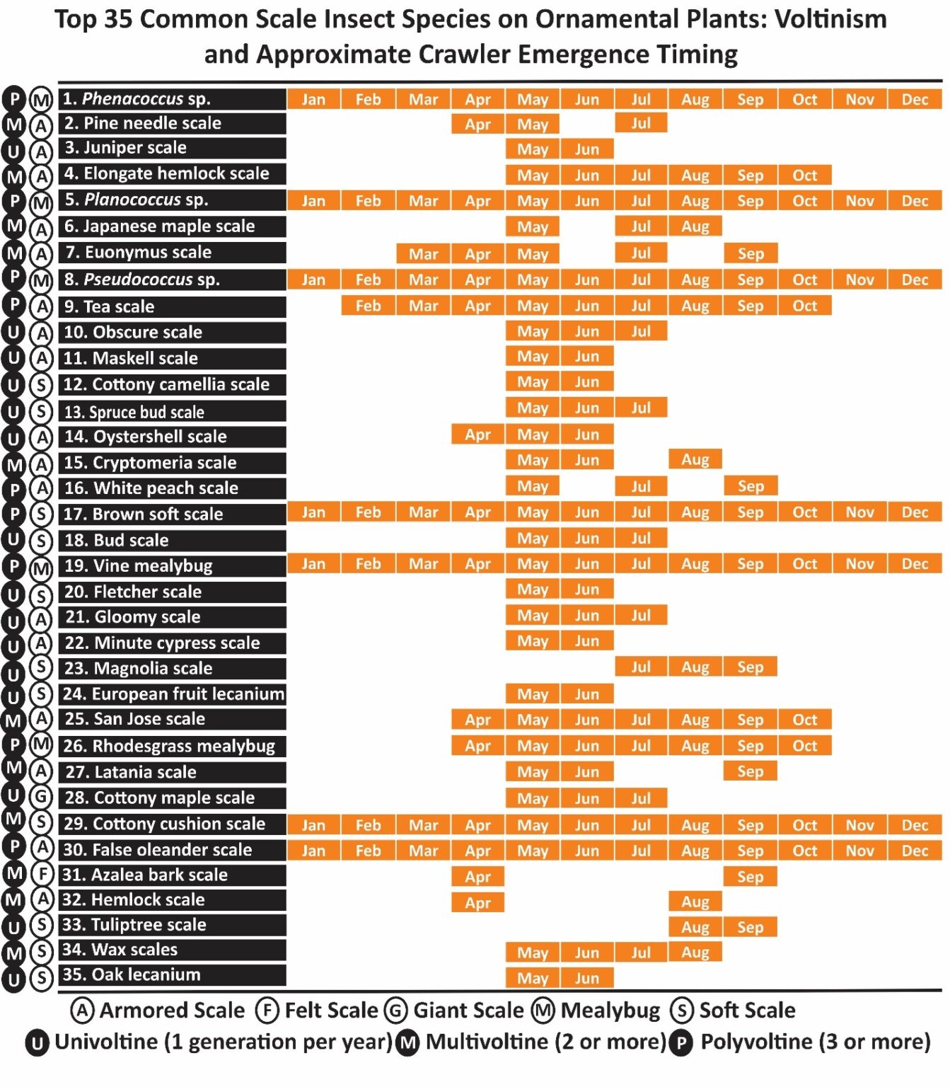 Target Scale Insect Crawlers to Prevent Sticky Situations – Integrated ...