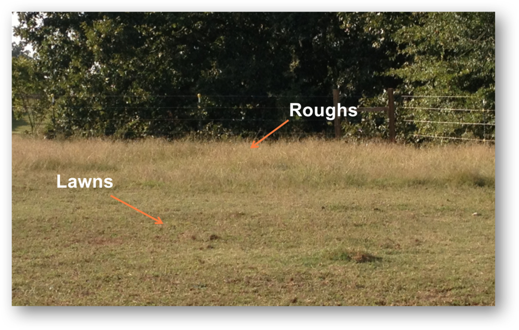 Livestock and Forages | Rotational Grazing for Horses