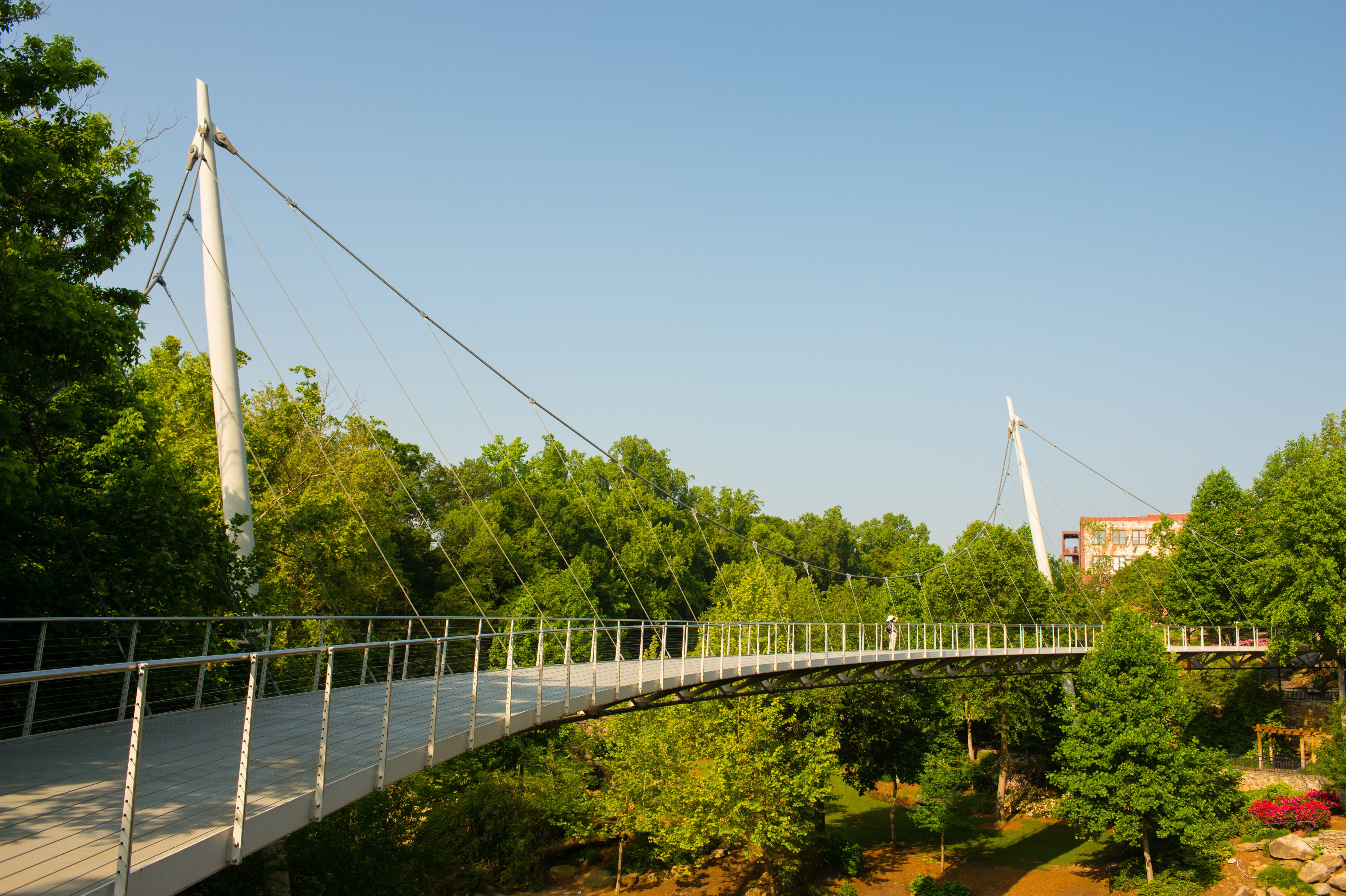 Exploring Downtown Greenville: A Guide for Clemson MBA Students ...
