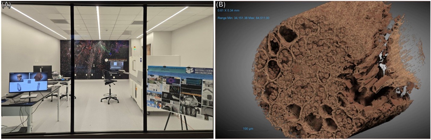 Announcing MSE’s New Center for X-Ray Advanced Imaging of Materials ...