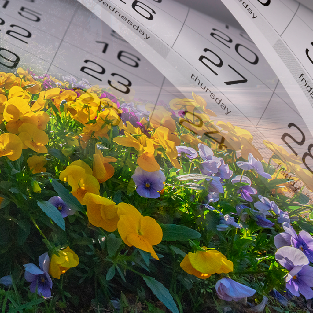 Spring 2024 Calendar Preview – Clemson Online: Where Tech and Teaching Meet