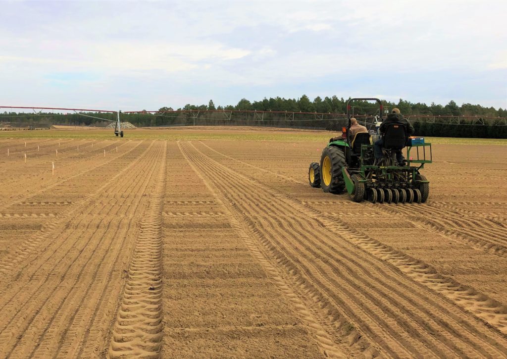 OREI 2019 Field Pea trials underway – Pulse Quality and Nutritional ...