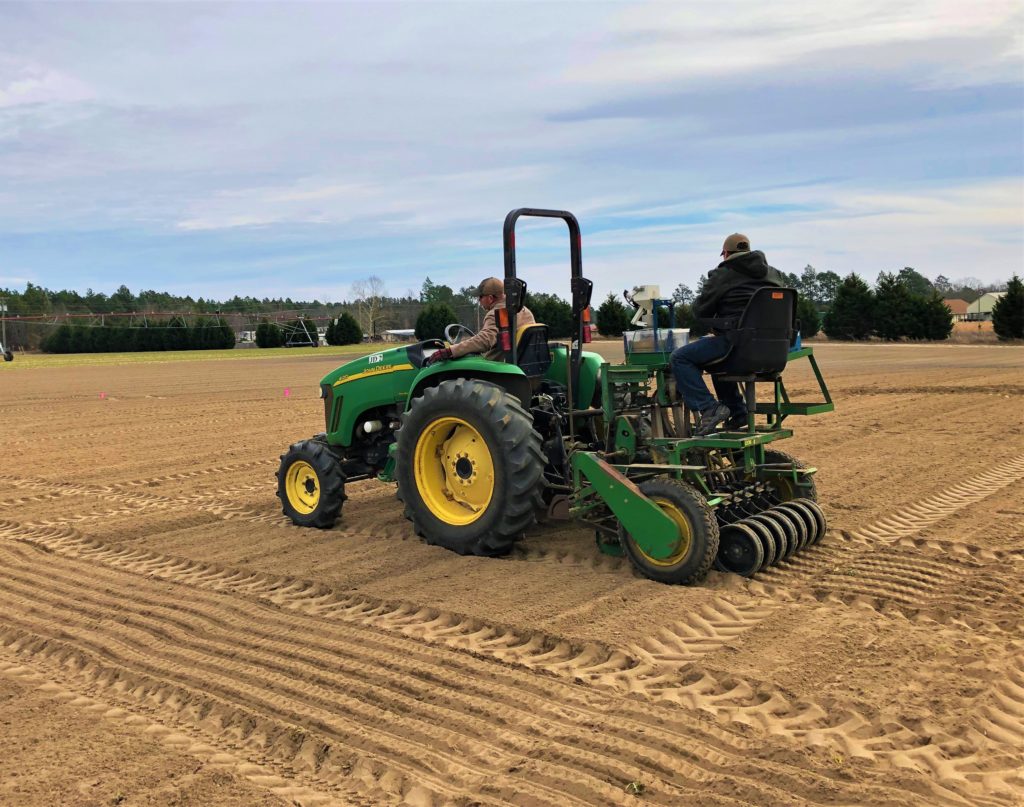 Go Organics | OREI 2019 Field Pea trials underway