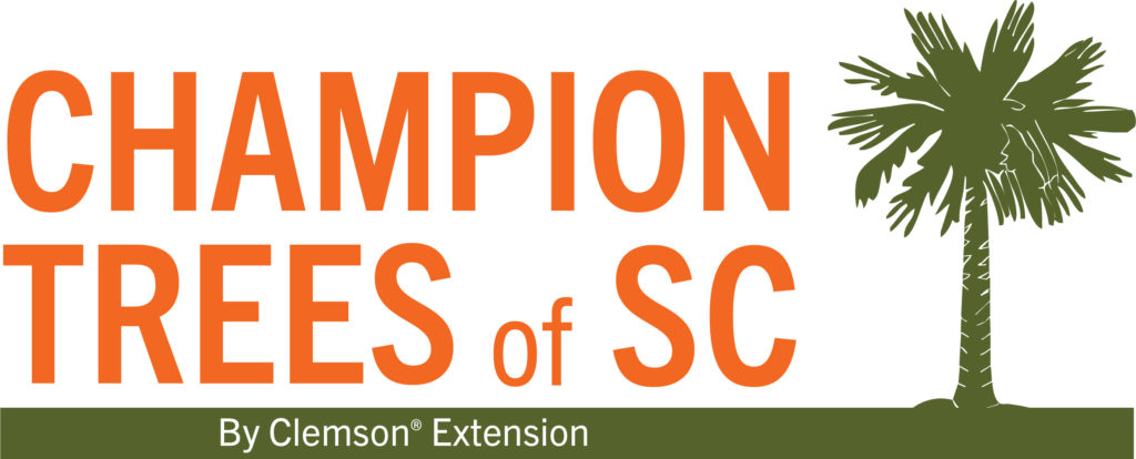 South Carolina Champion Tree – Clemson Extension Upstate District