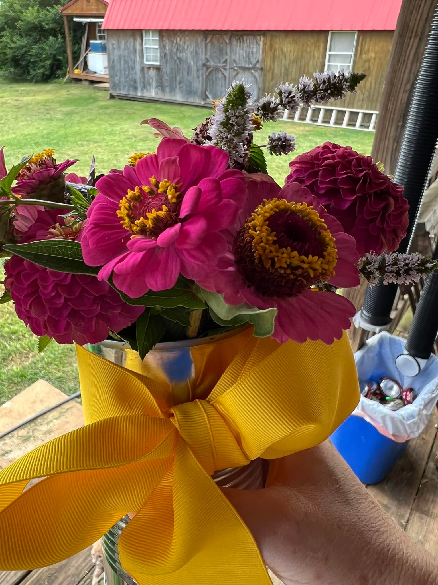 SC 4-H Small Garden Project – Clemson Extension Upstate District