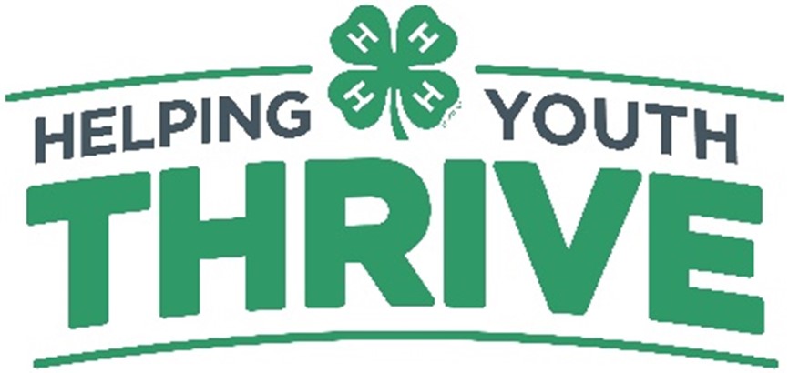 4-H Helping Youth Thrive – Clemson Extension Upstate District