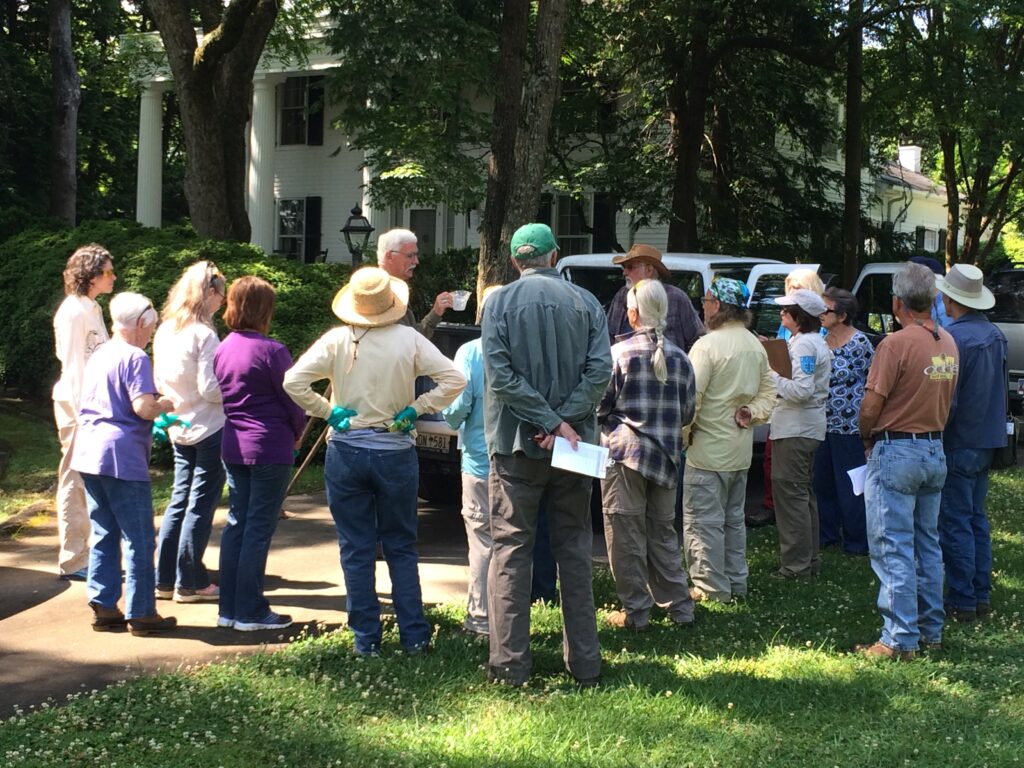 Hemlock Conservation Expands in the Upstate – Clemson Extension Upstate ...
