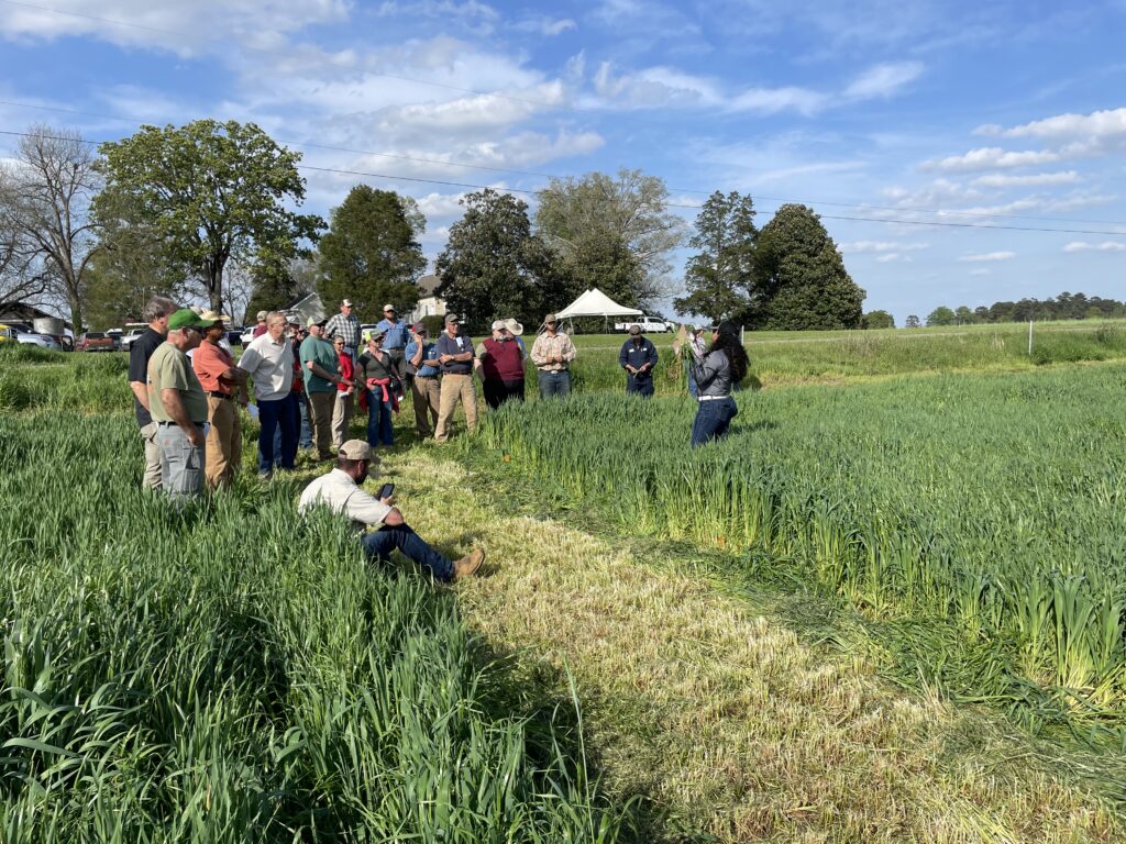 Winter Forage Field Day – Clemson Extension Upstate District